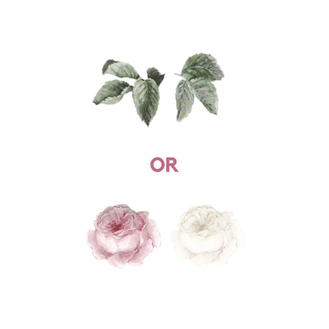 Add Ons (additional components to existing packs) – Little Rae Prints