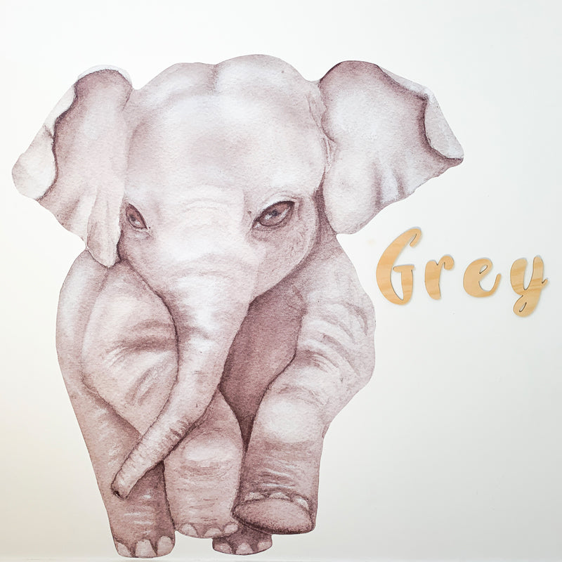 front facing elephant drawing