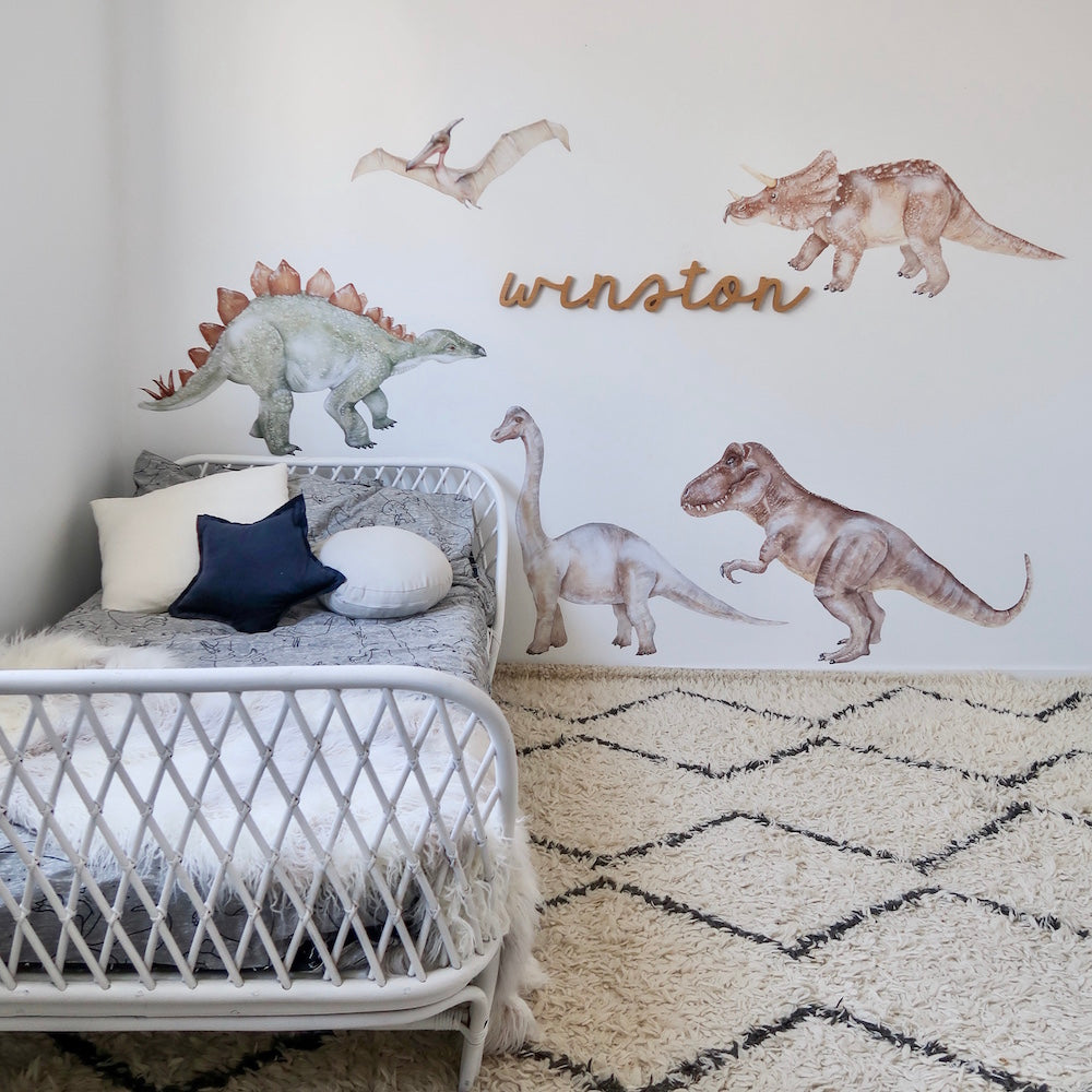 Dinosaur Value Packs – Little Rae Prints