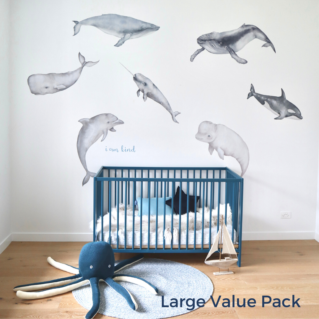 Mixed Whale Value Packs – Little Rae Prints
