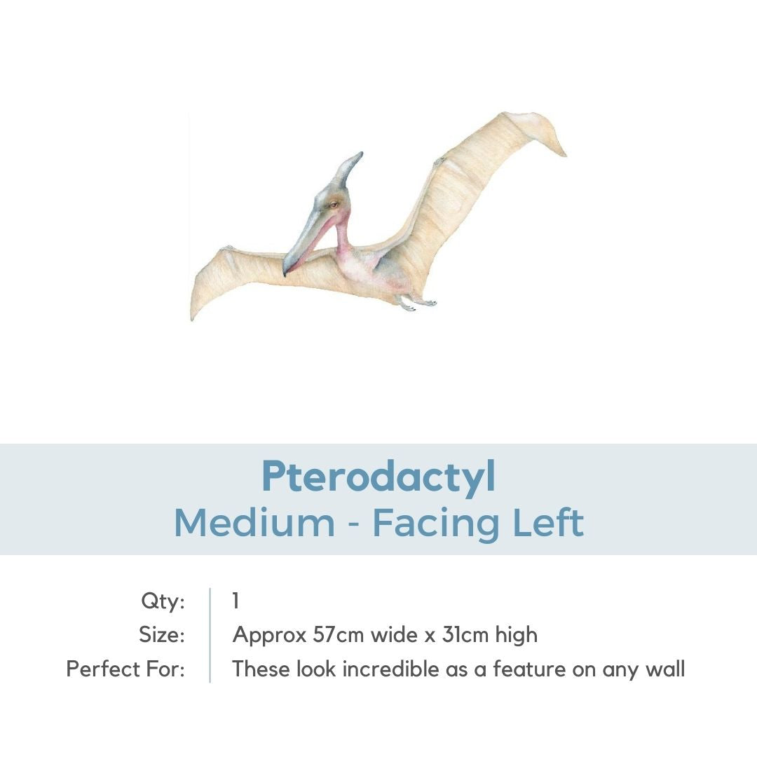 Pterodactyl Anatomy